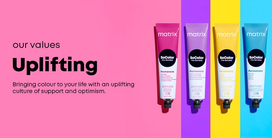 Where-we-started - Matrix Canada